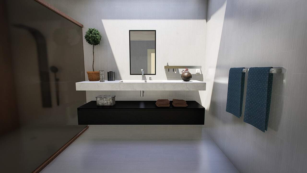 Master Bathroom Without a Tub Ideas - Steiner Homes LTD